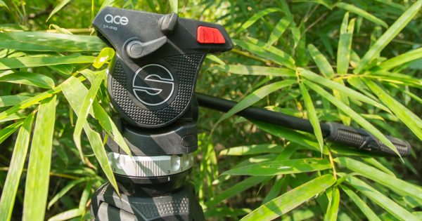 Sachtler Ace L Tripod - Nature TTL