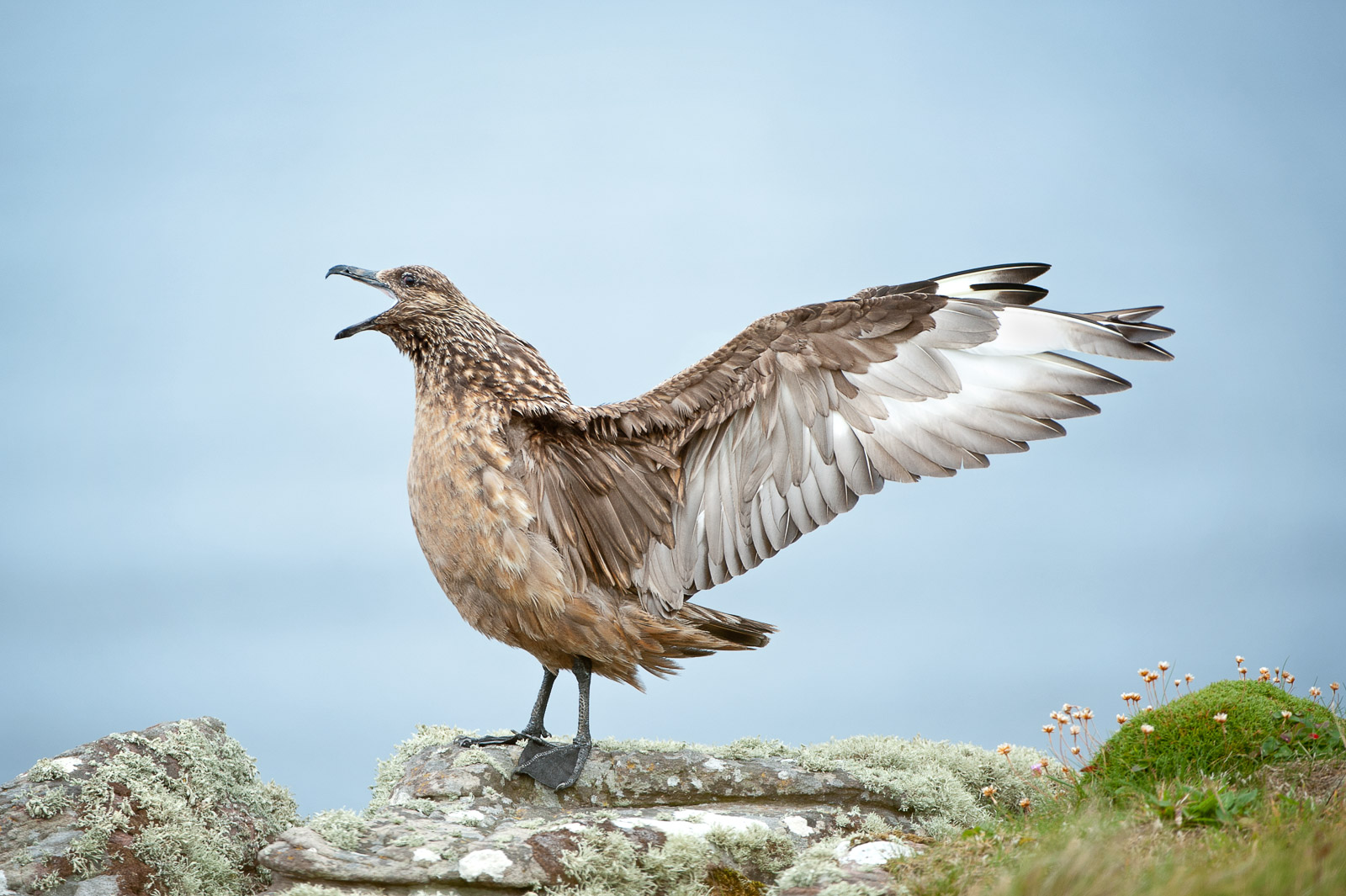 The Secret To Getting Sharp Photographs Nature TTL The Secret To Getting Sharp Photographs Nature TTL