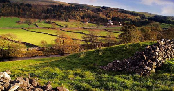 The Importance of Composition - Nature TTL