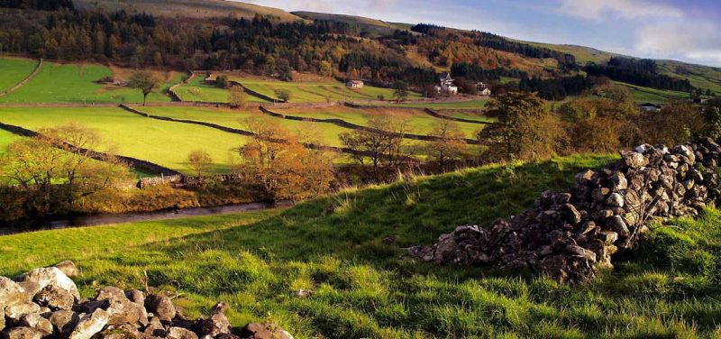 The Importance of Composition - Nature TTL