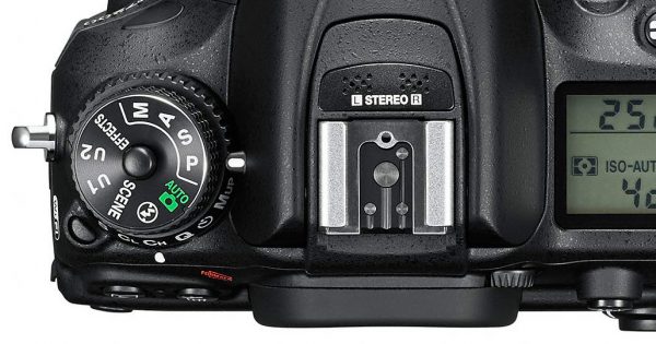 Digital Camera Modes: What Do They Mean? - Nature TTL