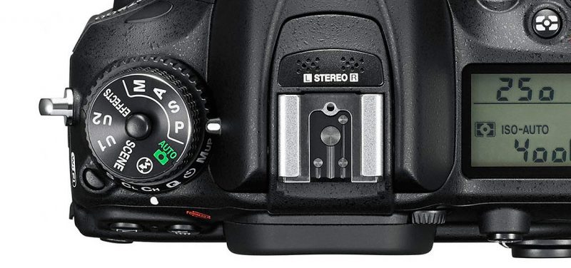 Digital Camera Modes: What Do They Mean? - Nature TTL