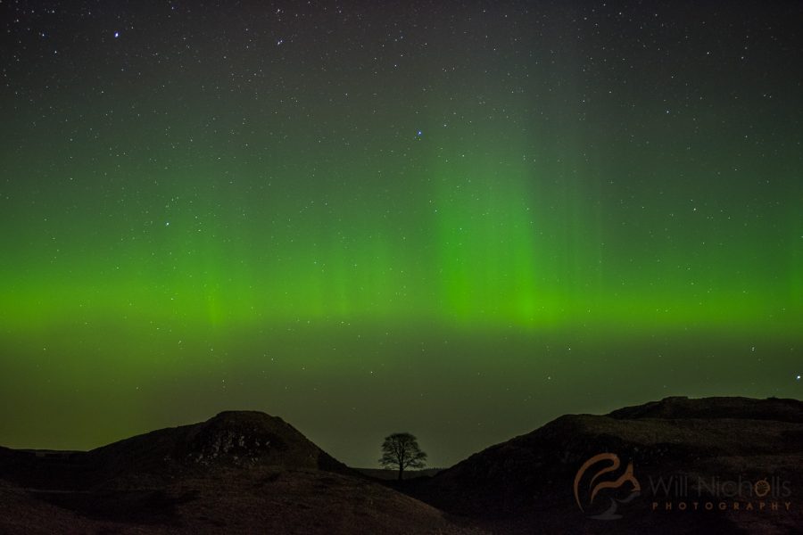 How to Photograph the Aurora Borealis in the UK - Nature TTL
