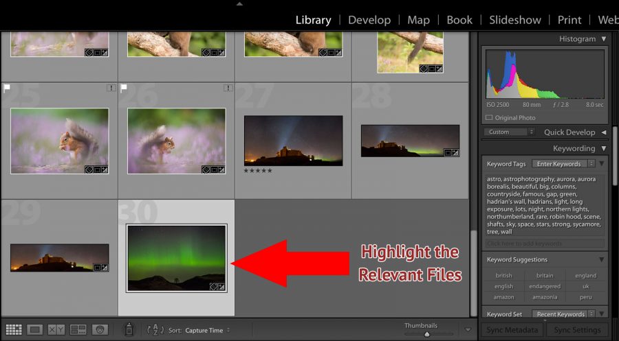 Embedding Metadata Into Original Source Files in Lightroom - Nature TTL