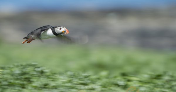 Weekly Photography Assignment: Creative Blur - Nature TTL