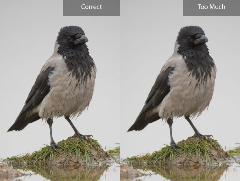 The Post-processing Mistakes You Don't Want to Make - Nature TTL