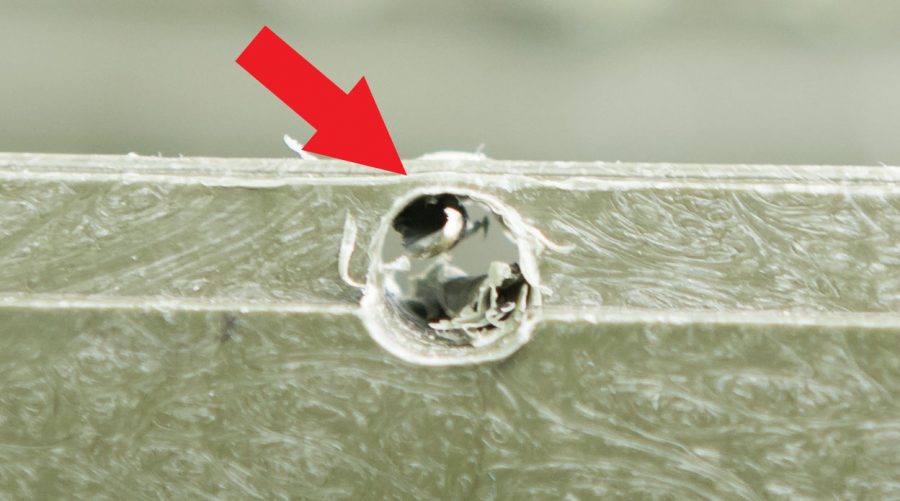 How to Make a DSLR Camera Trap Housing - Nature TTL