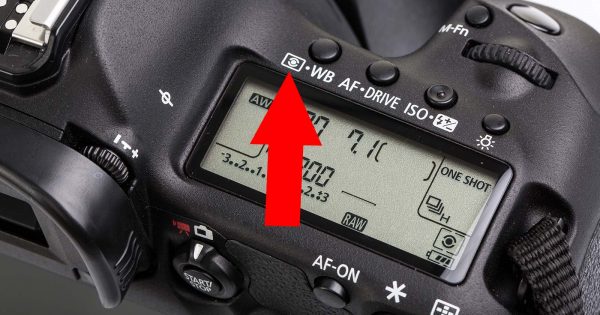 Understanding Different Metering Modes - Nature TTL
