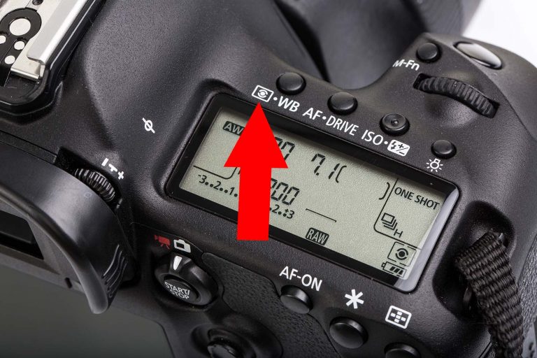 Understanding Different Metering Modes - Nature TTL