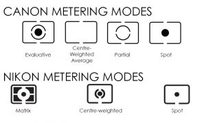 Understanding Different Metering Modes - Nature TTL
