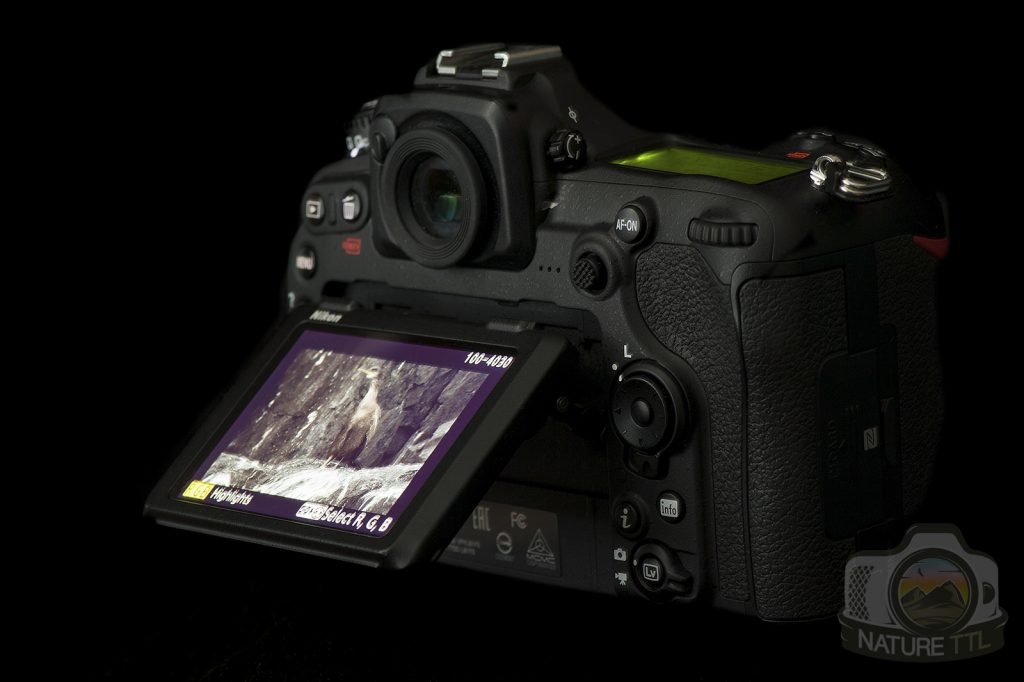 Nikon D500 Review: In the Hands of a Wildlife Photographer - Nature TTL