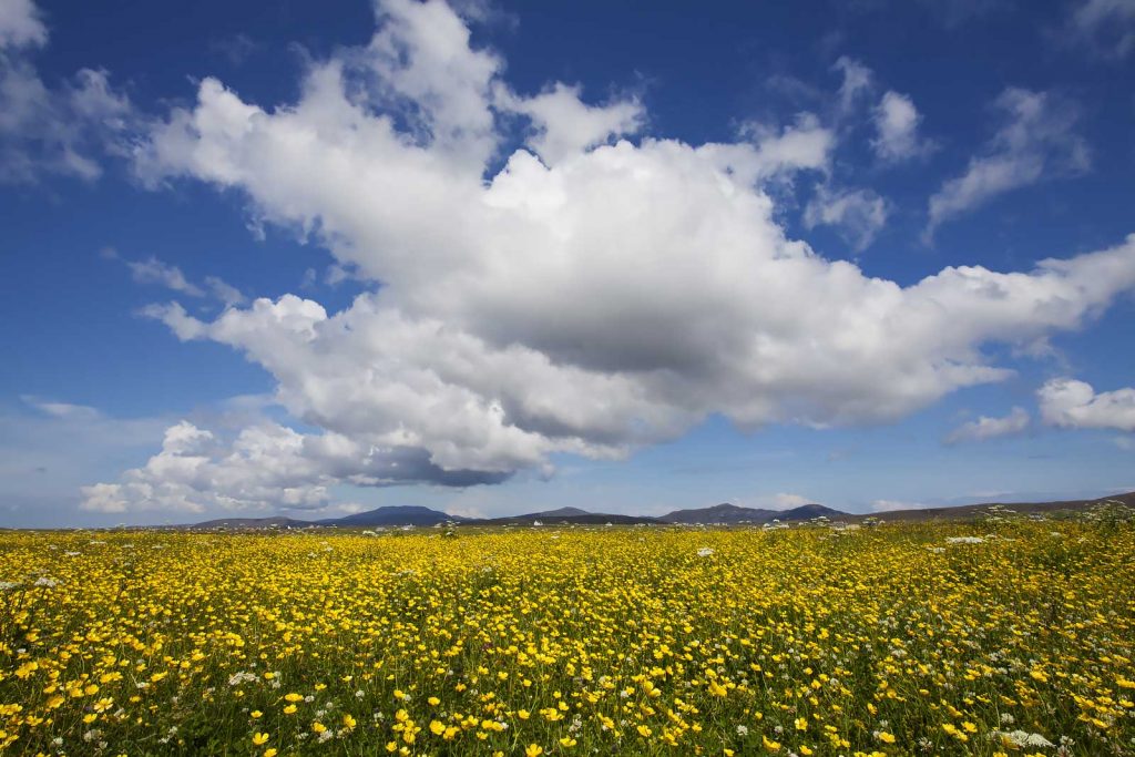 Summer Landscapes: What and When to Photograph - Nature TTL