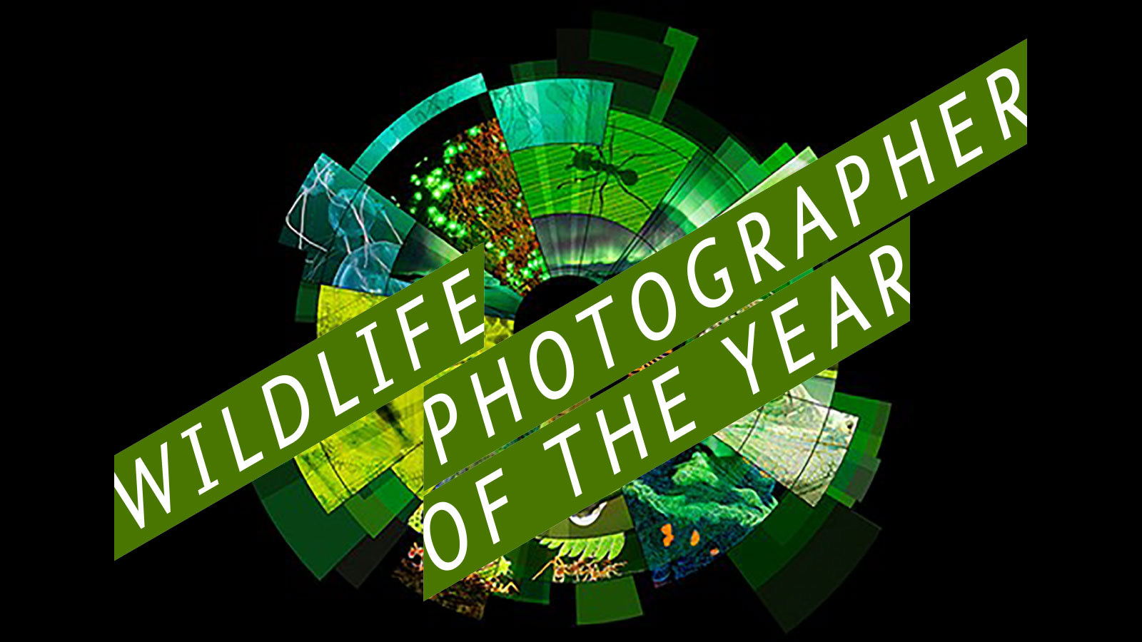Date Change & New Categories: Wildlife Photographer of the Year ...