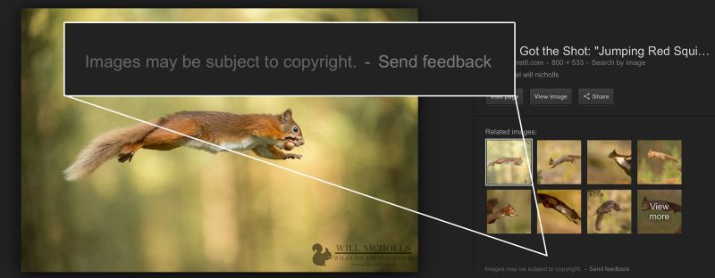 5 Misunderstandings About Photos On the Internet - Nature TTL