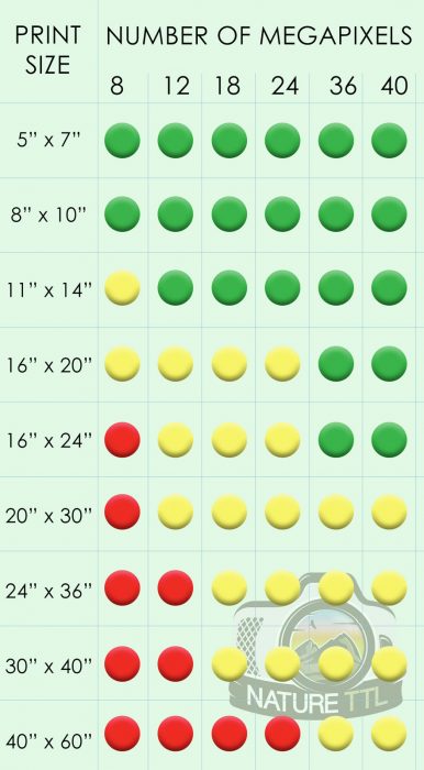 Megapixels: How Big Can You Really Print a Photo? - Nature TTL