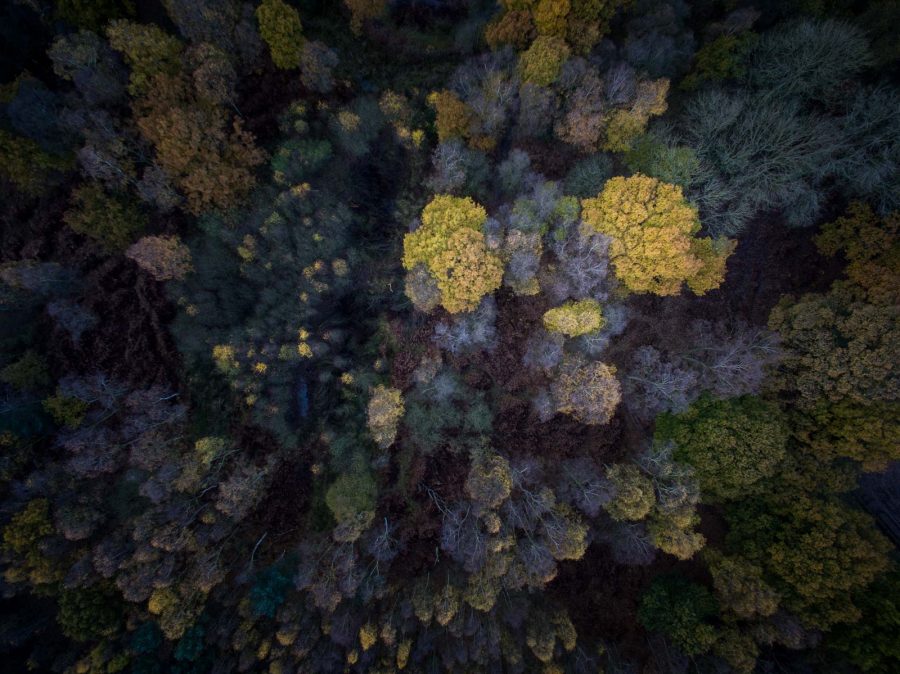 Drone Photography: 9 Tips to Drastically Improve Your Aerial Photos ...