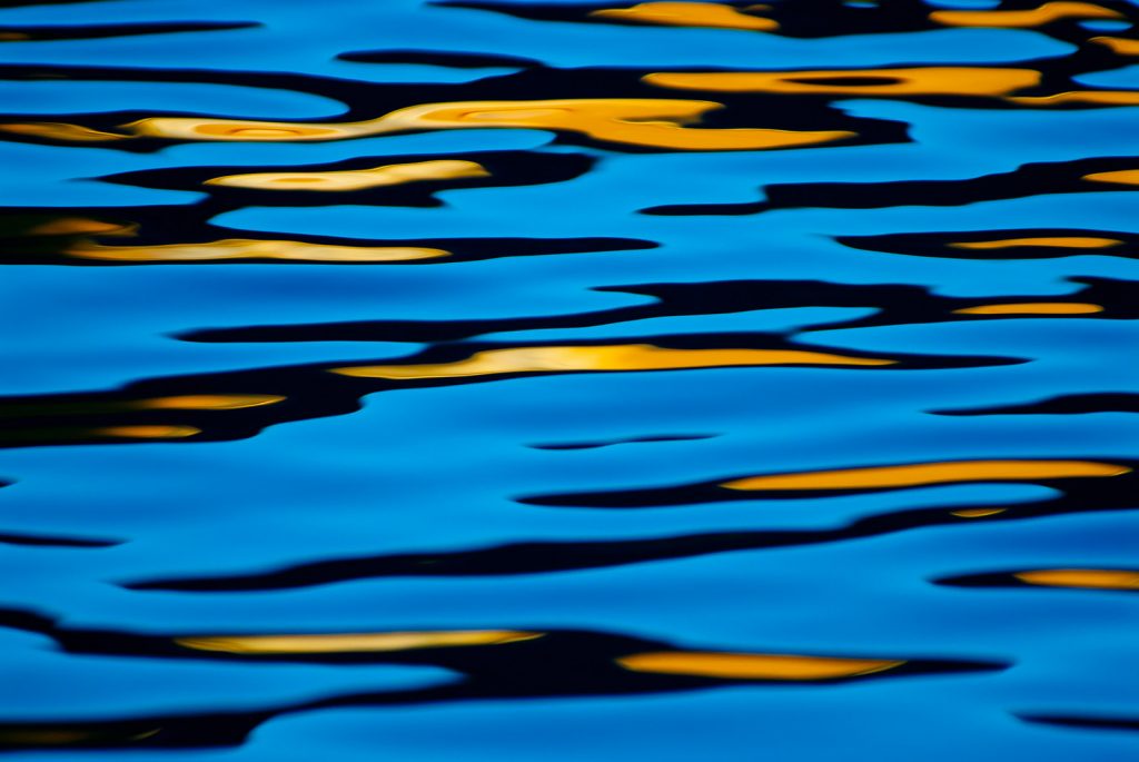 Abstract Nature Photography: Taking Creative Photos - Nature TTL