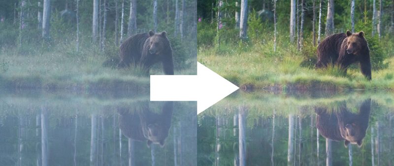 How to Remove Haze From Your Photos in Lightroom - Nature TTL