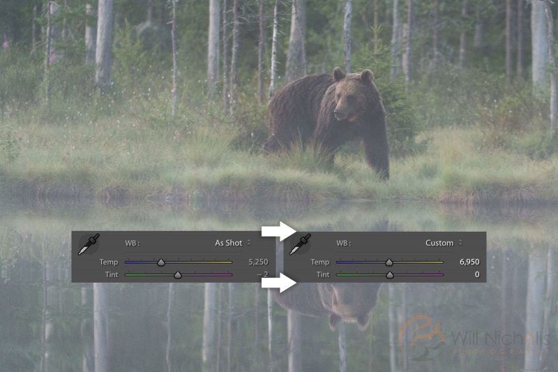 How to Remove Haze From Your Photos in Lightroom - Nature TTL