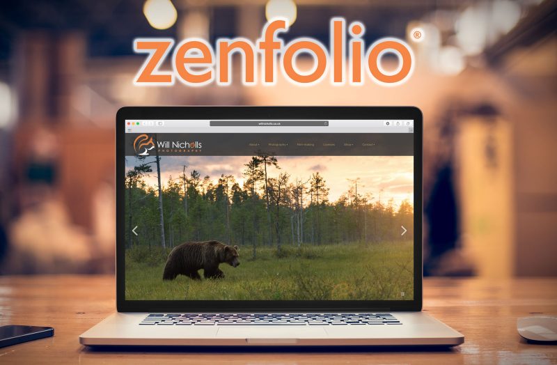 6 Ways to Customise and Make the Most of Your Zenfolio Website - Nature TTL