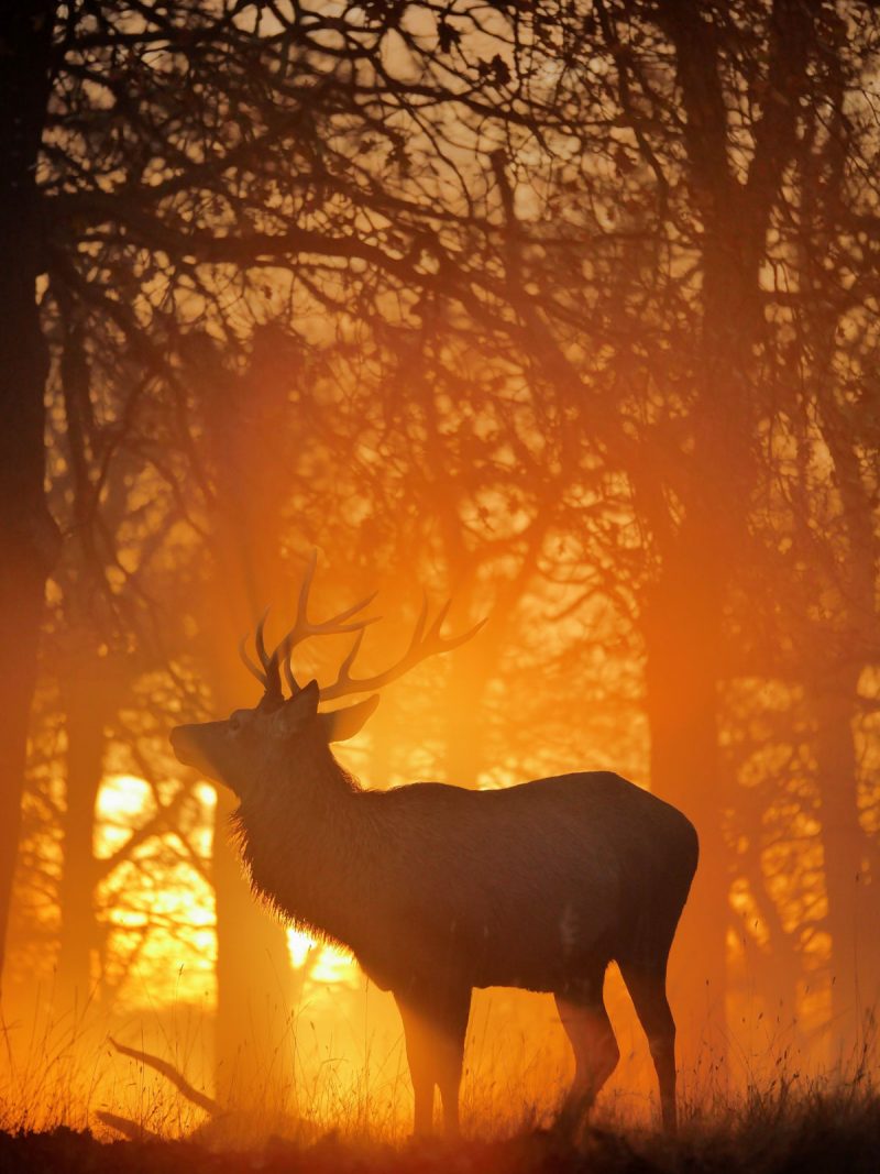 Weekly Photography Assignment: Water - Nature TTL