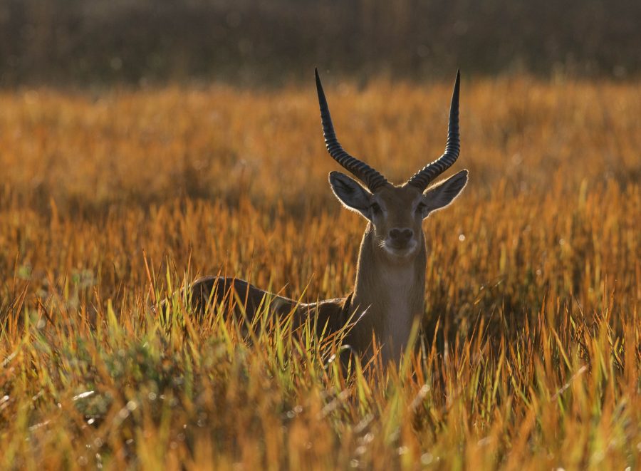 Weekly Photography Assignment: Water - Nature TTL