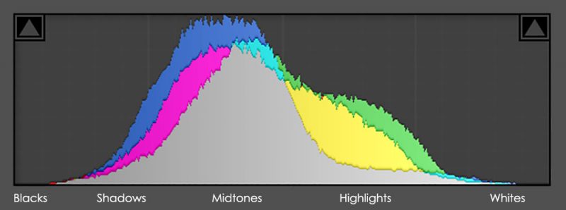 Understanding Histograms and How to Use Them - Nature TTL