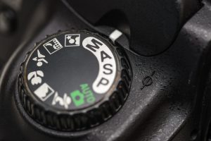 Choosing a Camera Mode: Which is Best? - Nature TTL