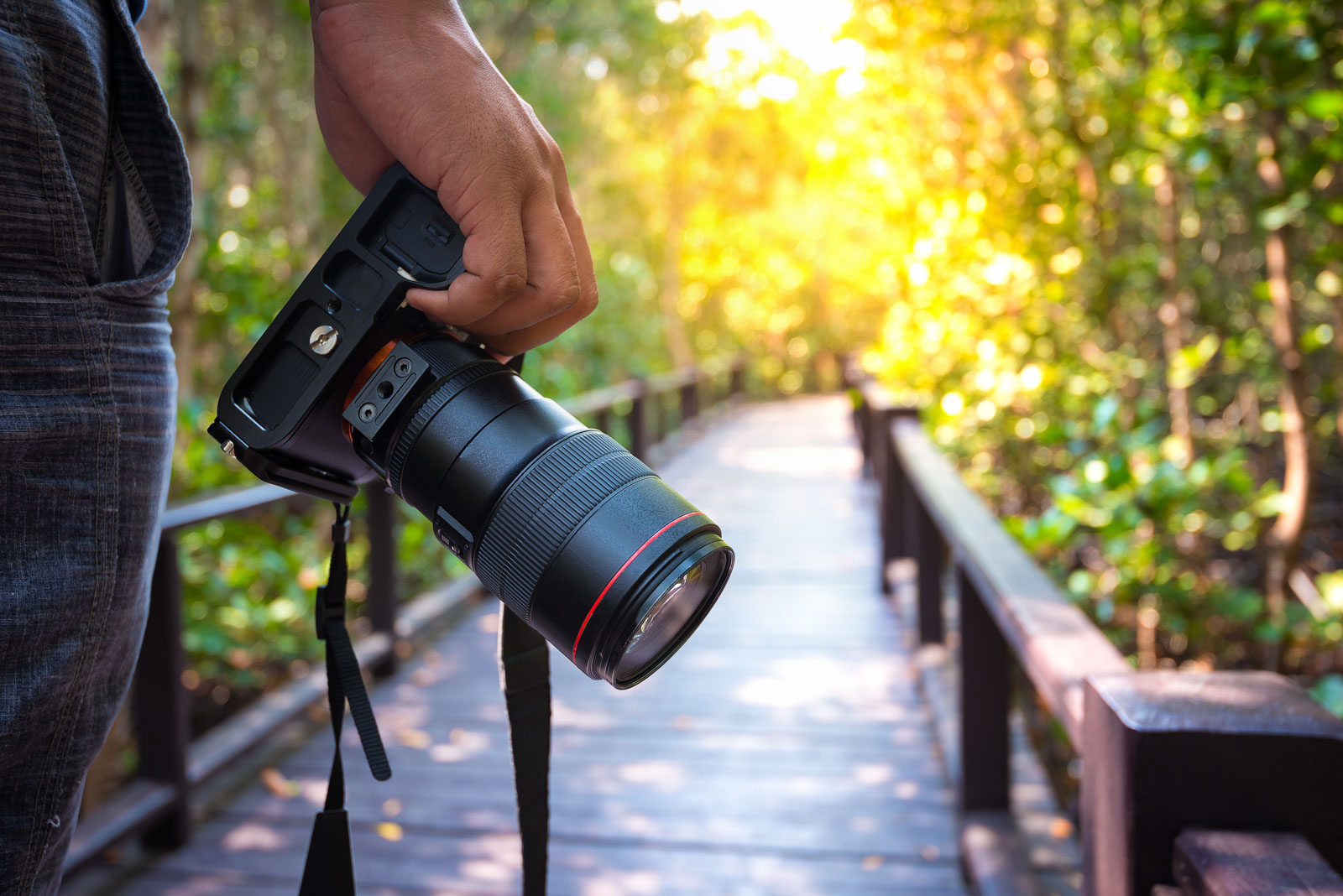 Getting a New Camera? Here's 7 Things You Need to Know - Nature TTL