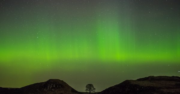 Weekly Photography Assignment: Green - Nature TTL