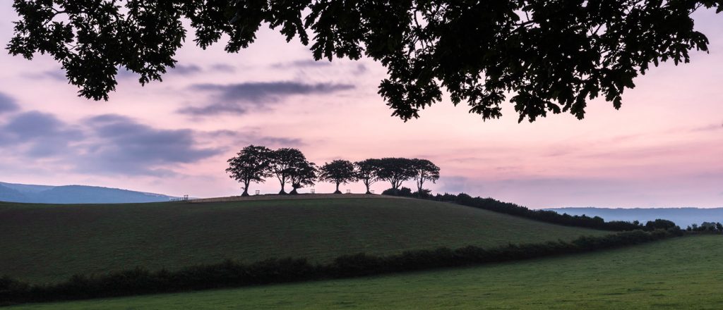 Composition: How to Create a Frame within a Frame - Nature TTL