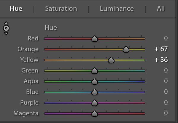 Lightroom Colour Correction: Hue, Saturation & Luminance | Nature TTL