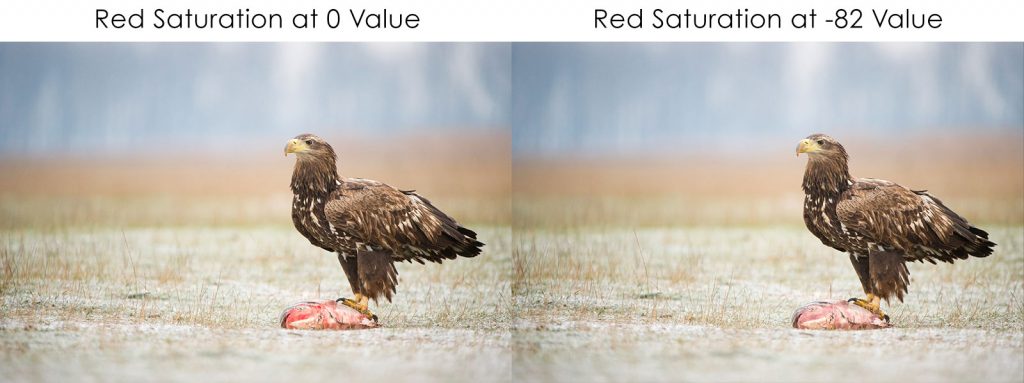 Lightroom Colour Correction: Hue, Saturation & Luminance - Nature TTL