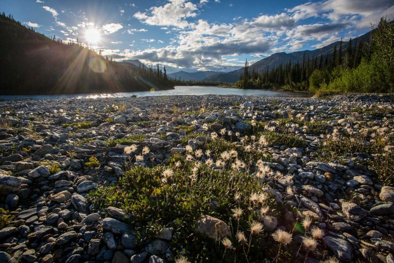 Top 5 Locations for Nature Photography in Alaska - Nature TTL