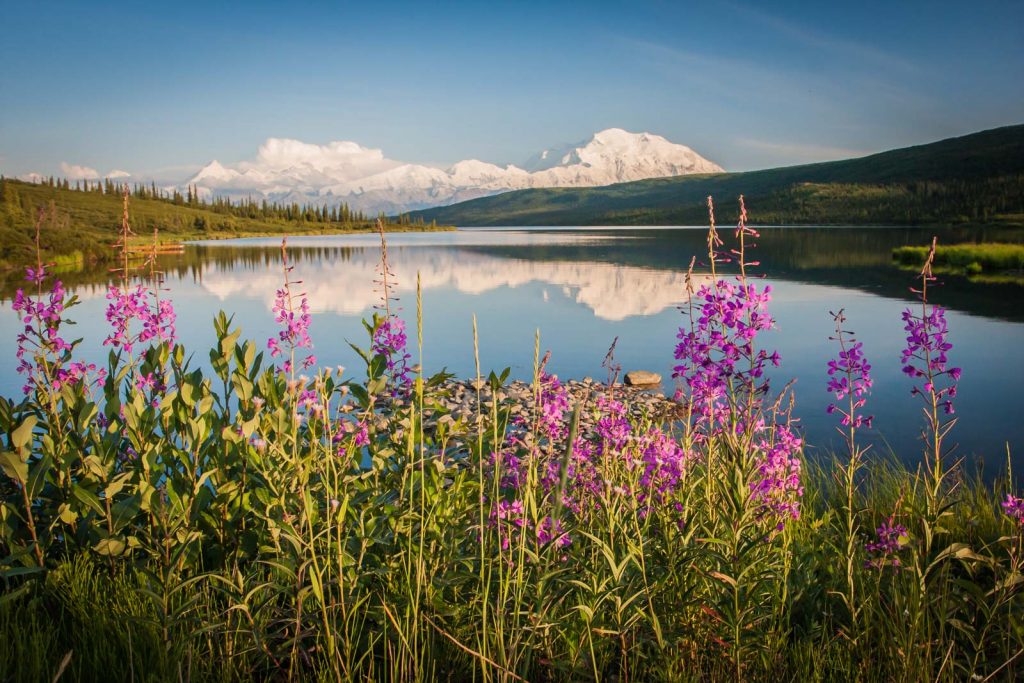 Top 5 Locations for Nature Photography in Alaska - Nature TTL
