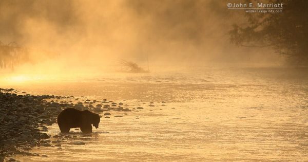 13 Amazing Nature Photographers You Need to Know About - Nature TTL