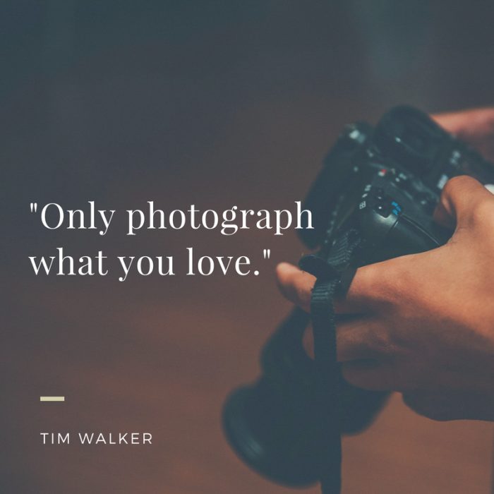 27 Inspirational Quotes for Photographers - Nature TTL