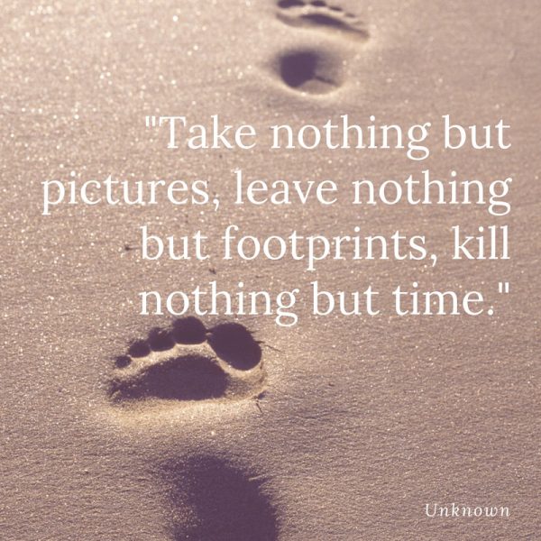 27 Inspirational Quotes for Photographers - Nature TTL