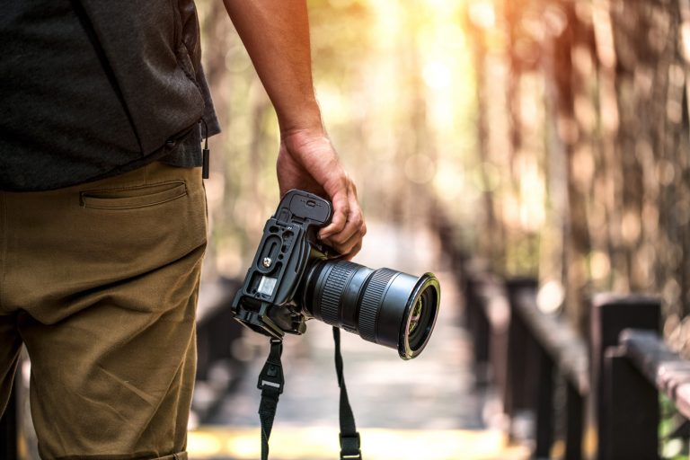 How To Be A Professional Wildlife Photographer Nature TTL how-to-be-a-professional-wildlife-photographer-nature-ttl