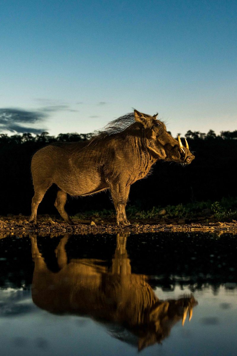 Weekly Photography Assignment: Black & White - Nature TTL