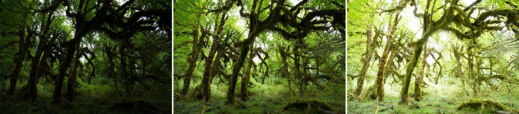 HDR Photography: A Beginner's Guide - Nature TTL