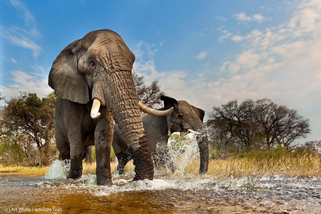 Art Wolfe: An Interview with a Legendary Nature Photographer - Nature TTL