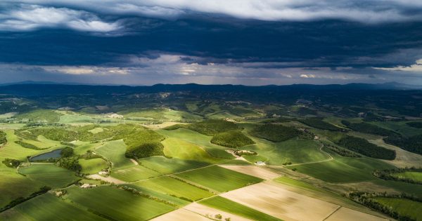 Weekly Photography Assignment: Fields - Nature TTL