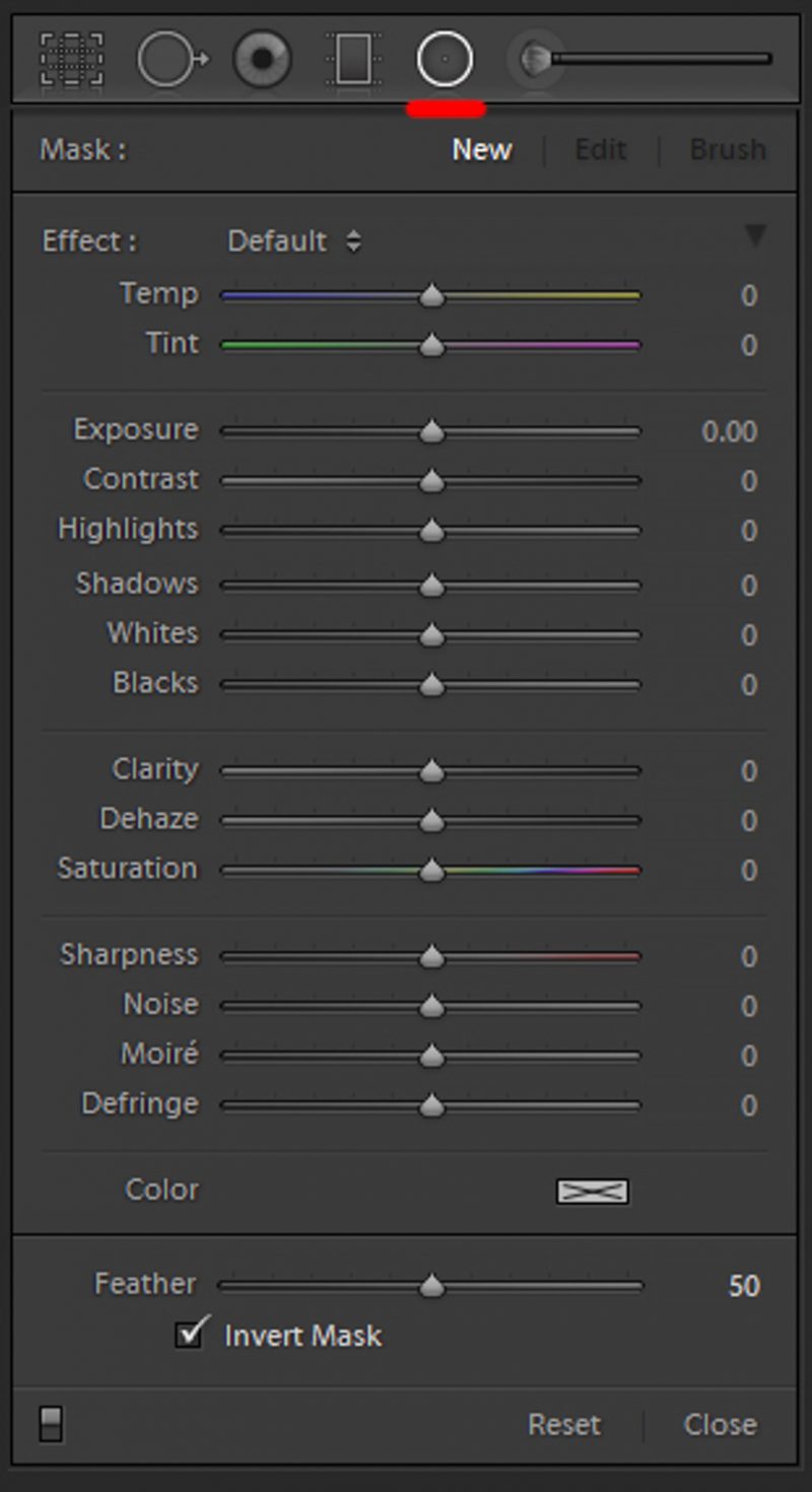 Master the Graduated & Radial Filters in Lightroom - Nature TTL