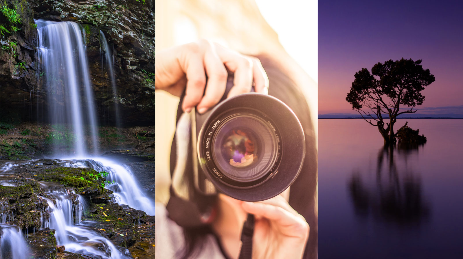 Weekly Photography Assignment: Portrait Orientation - Nature TTL