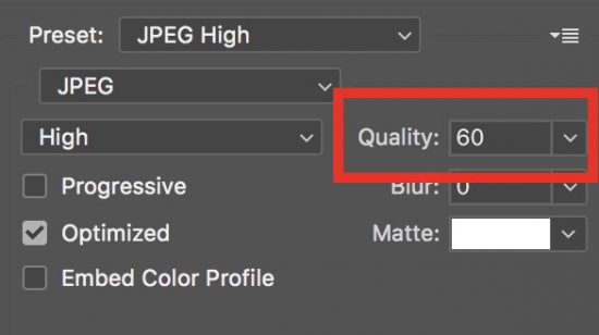 7 Steps to Protect Your Photos Online in 2024 - Nature TTL