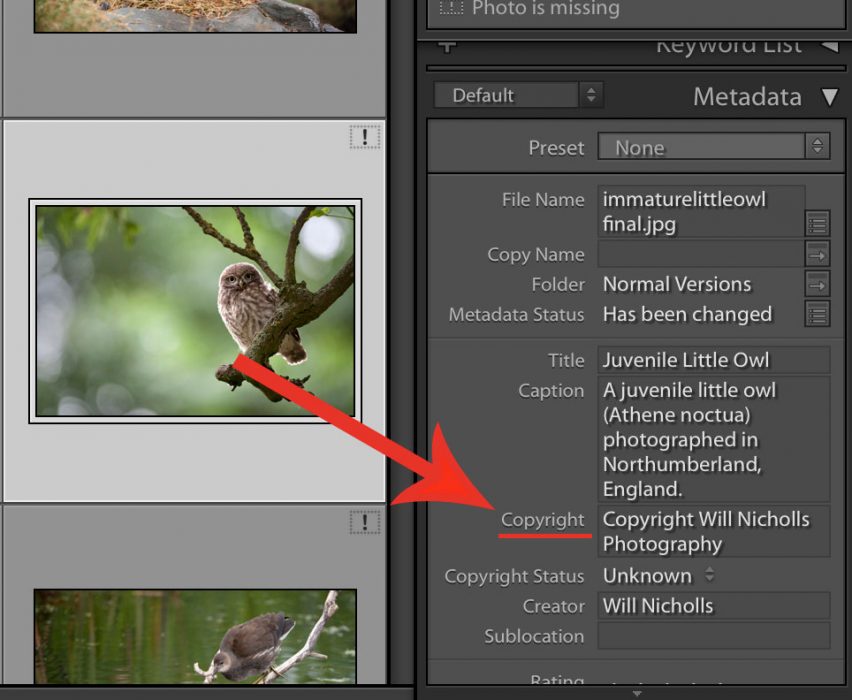 7 Steps to Protect Your Photos Online in 2024 - Nature TTL