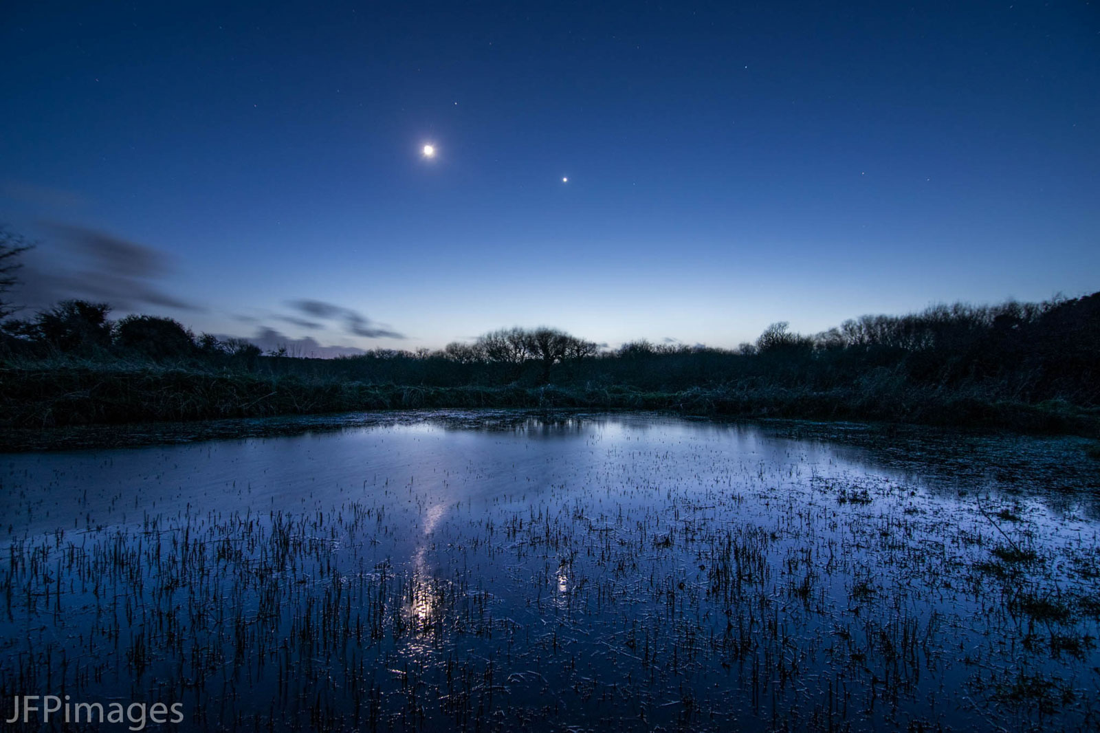 Weekly Photography Assignment: Birds - Nature TTL