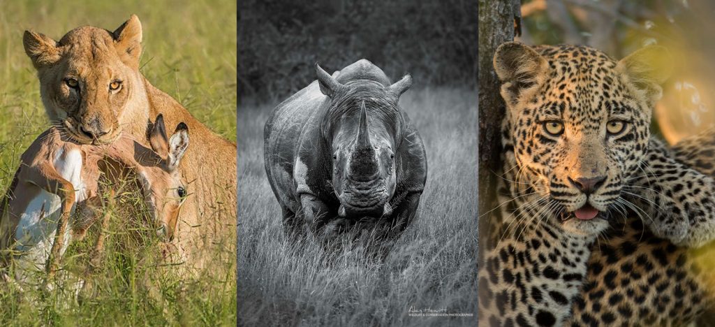 The Winner of Our Safari Competition Is... - Nature TTL