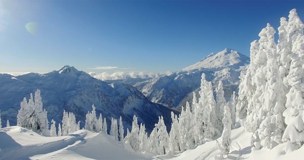 Gorgeous 4K Drone Shots of Bellingham, USA - Nature TTL